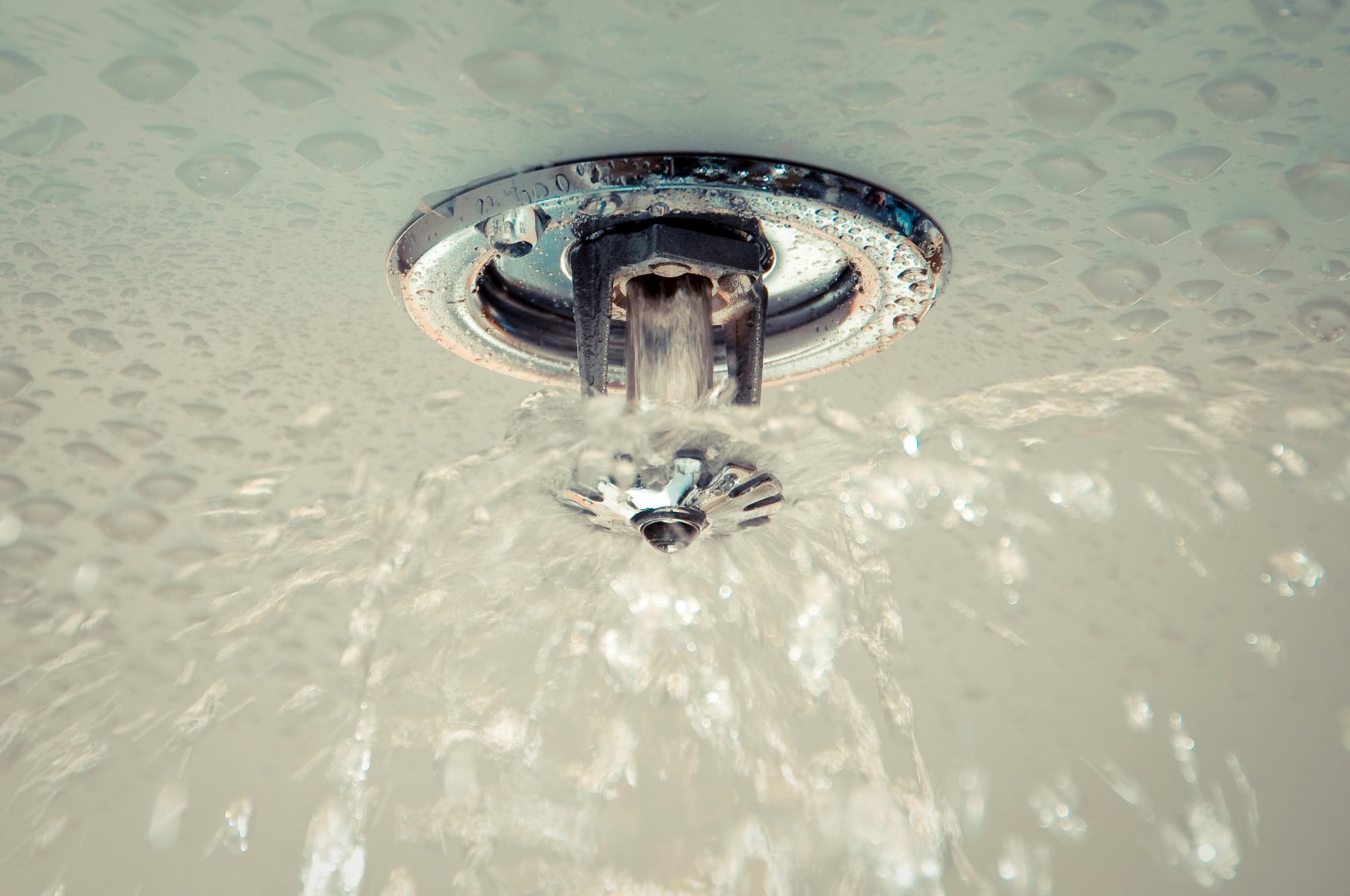The case for sprinkler systems in schools