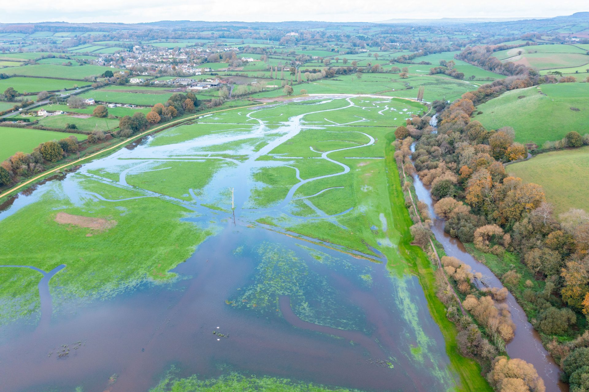Lower Otter Restoration Project: How nature-based solutions can help us ...