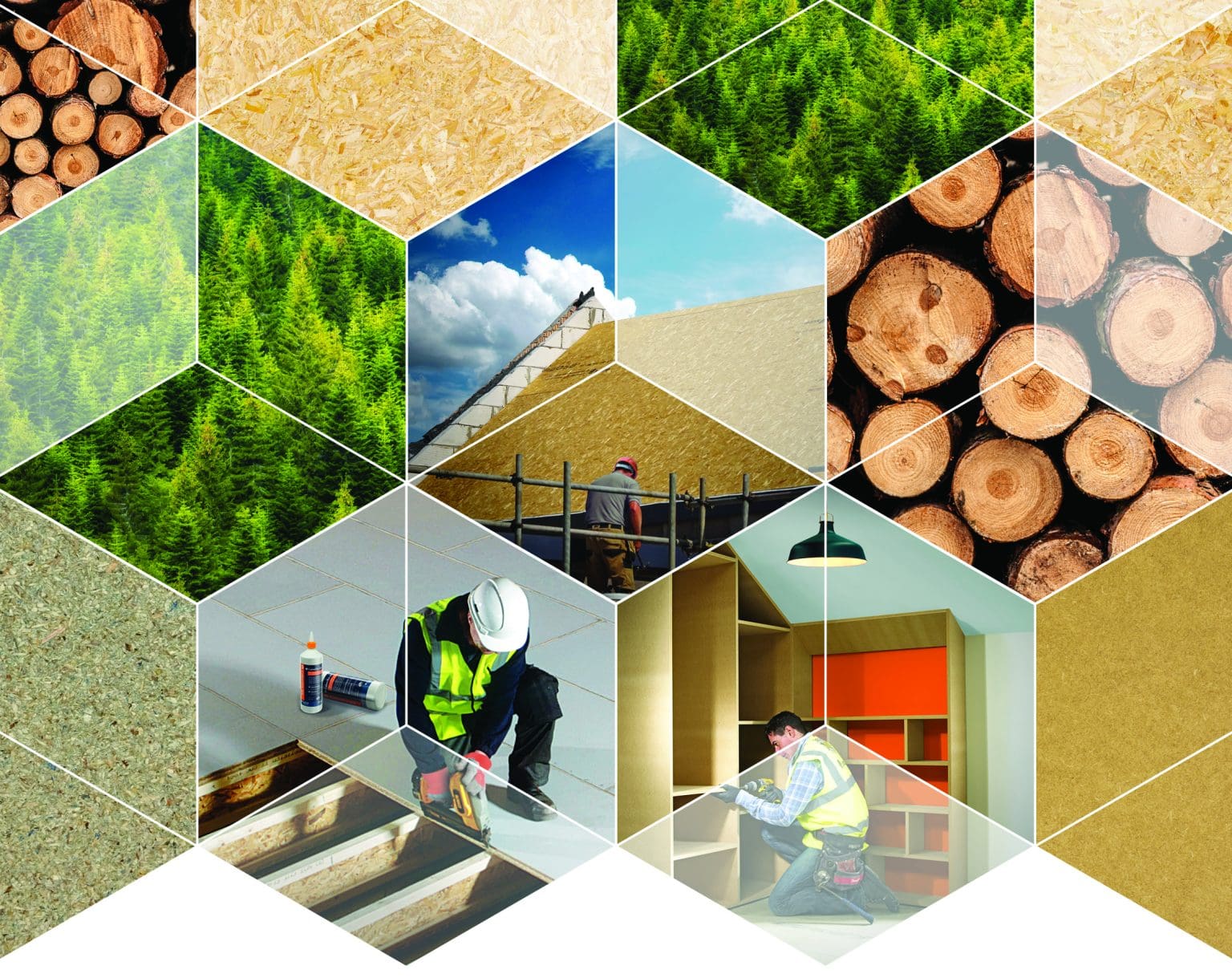 Choosing engineered wood panels made in the UK for a sustainable tomorrow